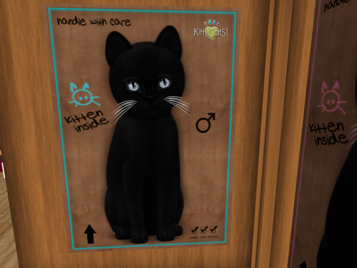 Second Life Marketplace - KittyCatS Box - New Born Kitten
