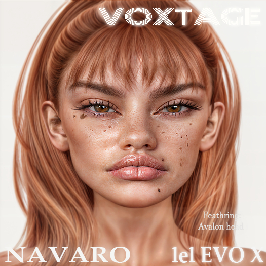 Second Life Marketplace - VOXTAGE - NAVARO / EVOX SKIN