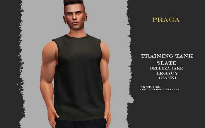 Second Life Marketplace - Praga Training Tank - Slate