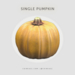 Second Life Marketplace - Single Pumpkin