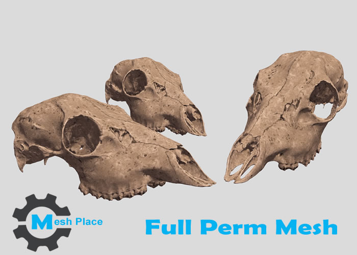 Second Life Marketplace - Mesh Place - Halloween Deer Skull Full Perm Mesh