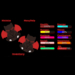 Second Life Marketplace - Rainbow Inc. Mystory HUD Style Vampire Cat
