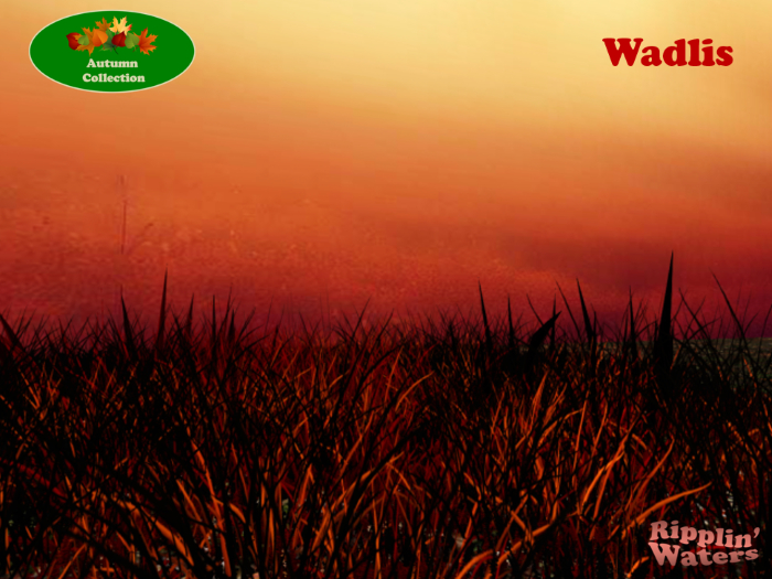 Second Life Marketplace - RW - Halloween Dark Vampire ground cover ...