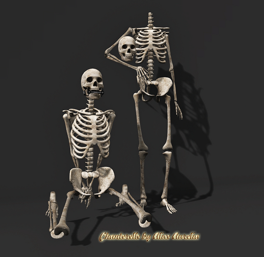 Second Life Marketplace - 03-[Since1975] Funny Skeletons - Slave