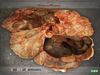Second Life Marketplace - [MF] FULL PERMISSIONS Bloody guts SET (boxed)