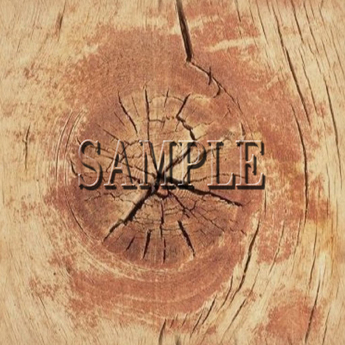 Second Life Marketplace - 32 TREE RINGS TEXTURES + 5 TREE BARK TEXTURES ...