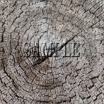 Second Life Marketplace - 32 TREE RINGS TEXTURES + 5 TREE BARK TEXTURES ...