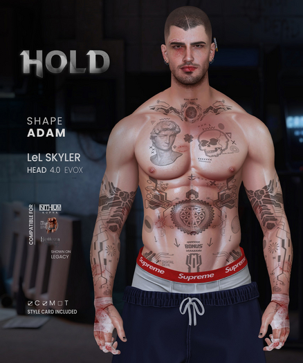 Second Life Marketplace - HOLD SHAPES - Adam - Shape LeLUTKA Skyler 4.0 ...