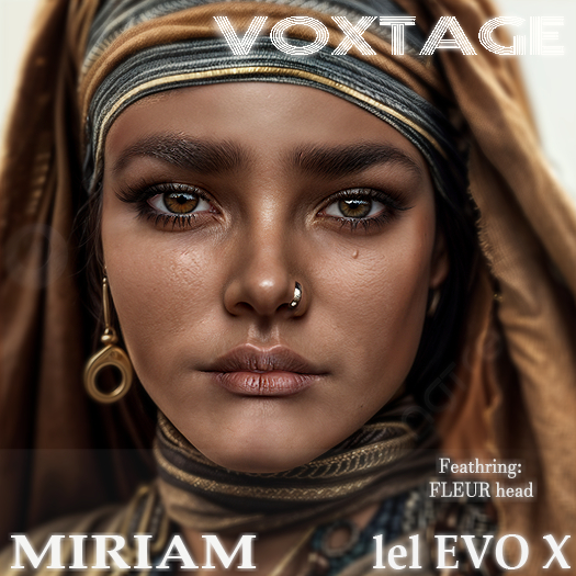 Second Life Marketplace - VOXTAGE - MIRIAM / EVOX SKIN
