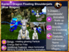 Second Life Marketplace - ^..^ Blue Dragon Shoulderpet *floating* *with ...