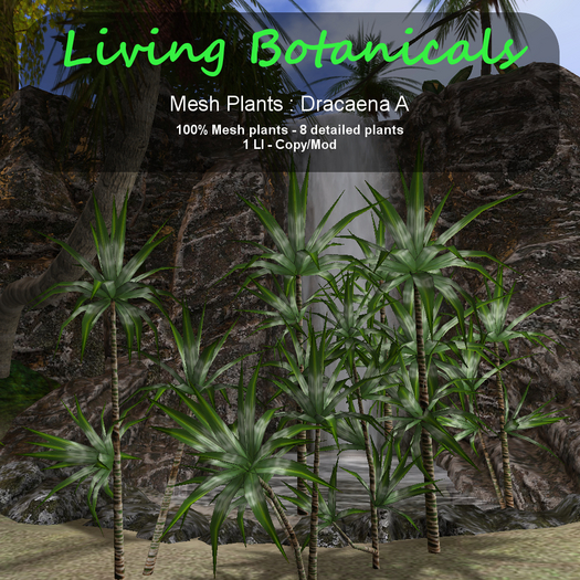 Second Life Marketplace - Inochi Botanicals : Mesh Plant - Dracaena A