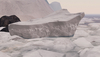 Second Life Marketplace - ICEBERG by Sources