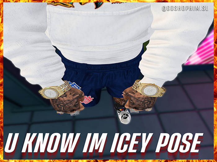 Second Life Marketplace - $HIM$poses / You Know Im Icey Pose