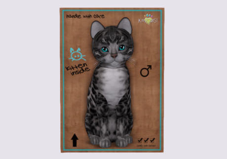 Second Life Marketplace - Male Cat KittyCats Breedable New Born Kitten ...