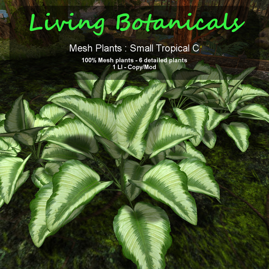 Second Life Marketplace - Inochi Botanicals : Mesh Plant - Small Tropical C