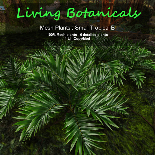 Second Life Marketplace - Inochi Botanicals : Mesh Plant - Small Tropical B