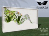 Second Life Marketplace - Planta - Honisa Deco White