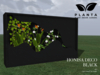 Second Life Marketplace - Planta - Honisa Deco Black