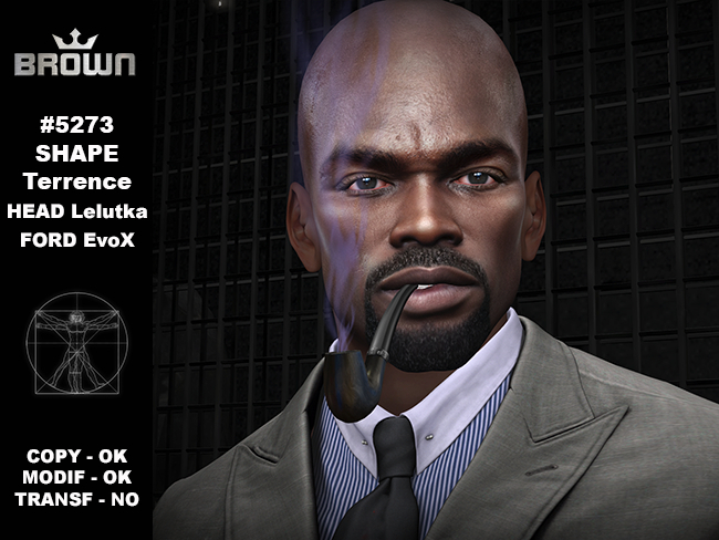 Second Life Marketplace - 5273 SHAPE Terrence HEAD Lelutka FORD EvoX