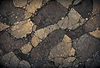Second Life Marketplace - SOL - GROUND (2)