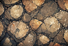 Second Life Marketplace - SOL - GROUND (25)