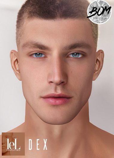 Second Life Marketplace - Not Found - Dex Skin Pale (Lelutka)