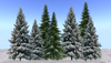 Second Life Marketplace - Snowy Pines1 Privacy Screen2(21x13)