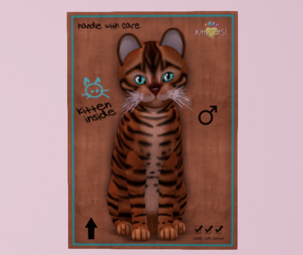 Second Life Marketplace - Male breedable cat KittyCatS Toyger - Caramel ...