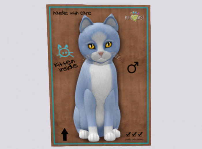 Second Life Marketplace - Male Breedable Cat Chateau Cat - Powder Puff ...