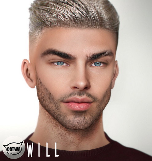 Second Life Marketplace - Not Found - Will Skin Medium (Catwa)