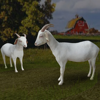 Second Life Marketplace - goats 3
