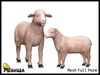 Second Life Marketplace - Meshuga Farm Animals - Columbia Sheep FULL ...
