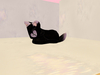 Second Life Marketplace - Stray Cats Kitten - #53328