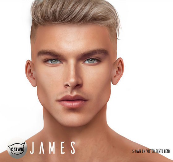 Second Life Marketplace - Not Found - James Skin Pale (Catwa)