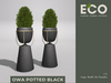Second Life Marketplace - Eco - Owa Potted Black