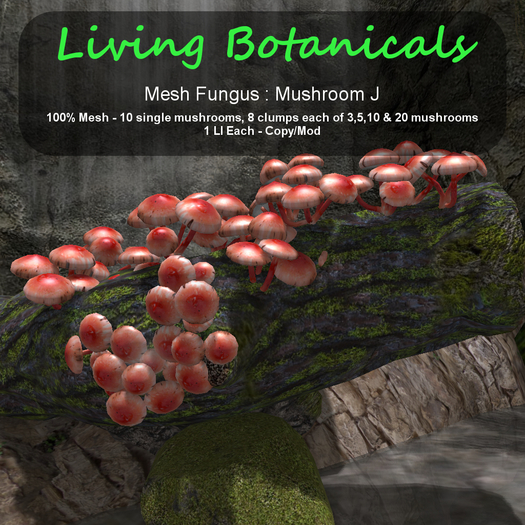 Second Life Marketplace - Inochi Botanicals - Mushroom J