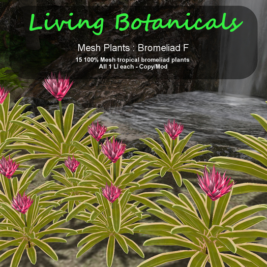Second Life Marketplace - Inochi Botanicals - Mesh Plant "Bromeliad F"