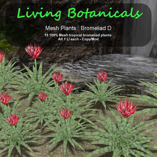 Second Life Marketplace - Inochi Botanicals - Mesh Plant "Bromeliad D"