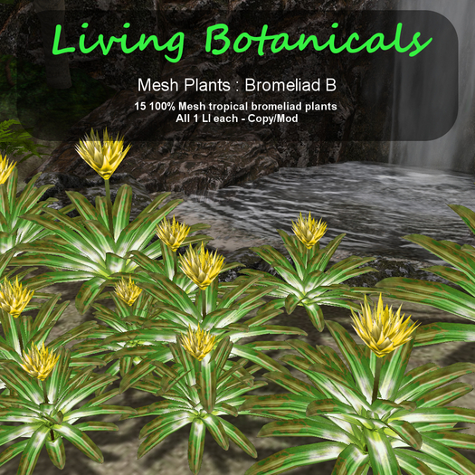Second Life Marketplace - Inochi Botanicals - Mesh Plant "Bromeliad B"