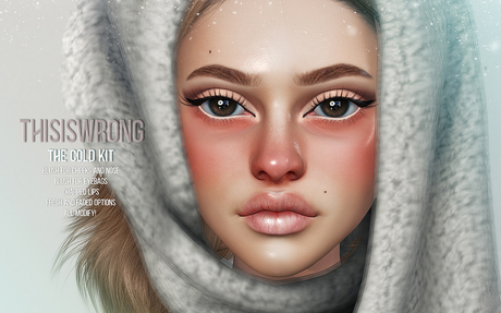 Second Life Marketplace - THIS IS WRONG The Cold kit - pack