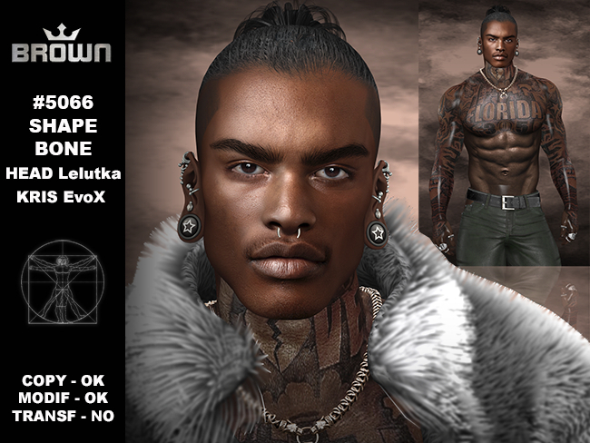 Second Life Marketplace - 5066 SHAPE BONE HEAD Lelutka KRIS EvoX