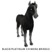 Second Life Marketplace - Platinum/Black Chimera Brindle F