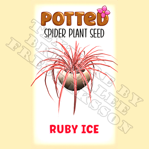 Second Life Marketplace - Potted: Spider Plant Seed: Ruby Ice (ACTUAL ...