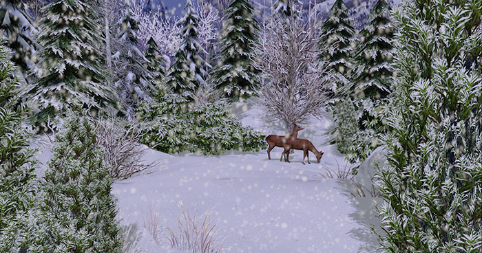 Second Life Marketplace - Winter Photography Backdrop