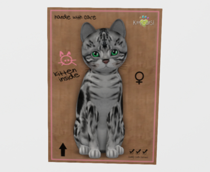 Second Life Marketplace - Male Breedable Cat KittyCatS American ...