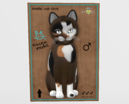 Second Life Marketplace - Male Breedable Cat KittyCatS Genesis - Patch ...