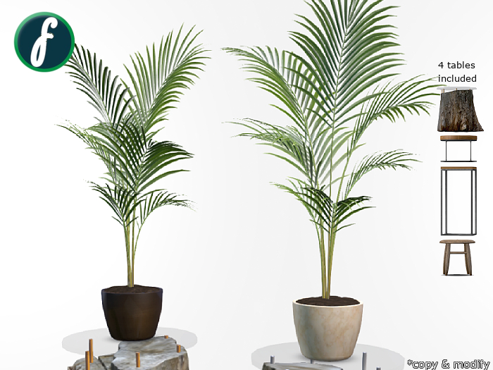 Second Life Marketplace - friller Potted Butterfly Palm Plant