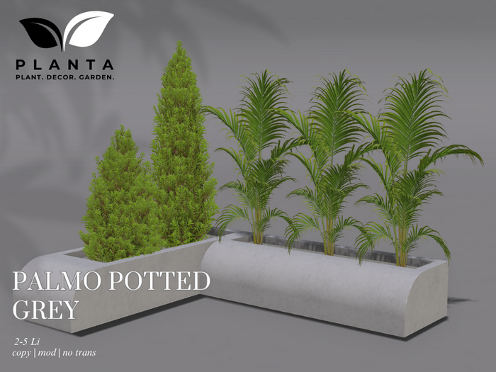 Second Life Marketplace - Planta - Palmo Potted Grey