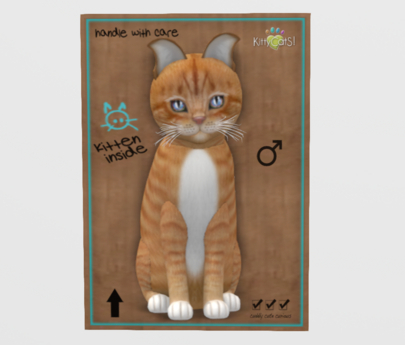 Second Life Marketplace - Male Breedable Cat KittyCatS European ...
