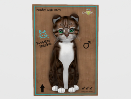 Second Life Marketplace - Male Breedable Cat KittyCatS American Short ...